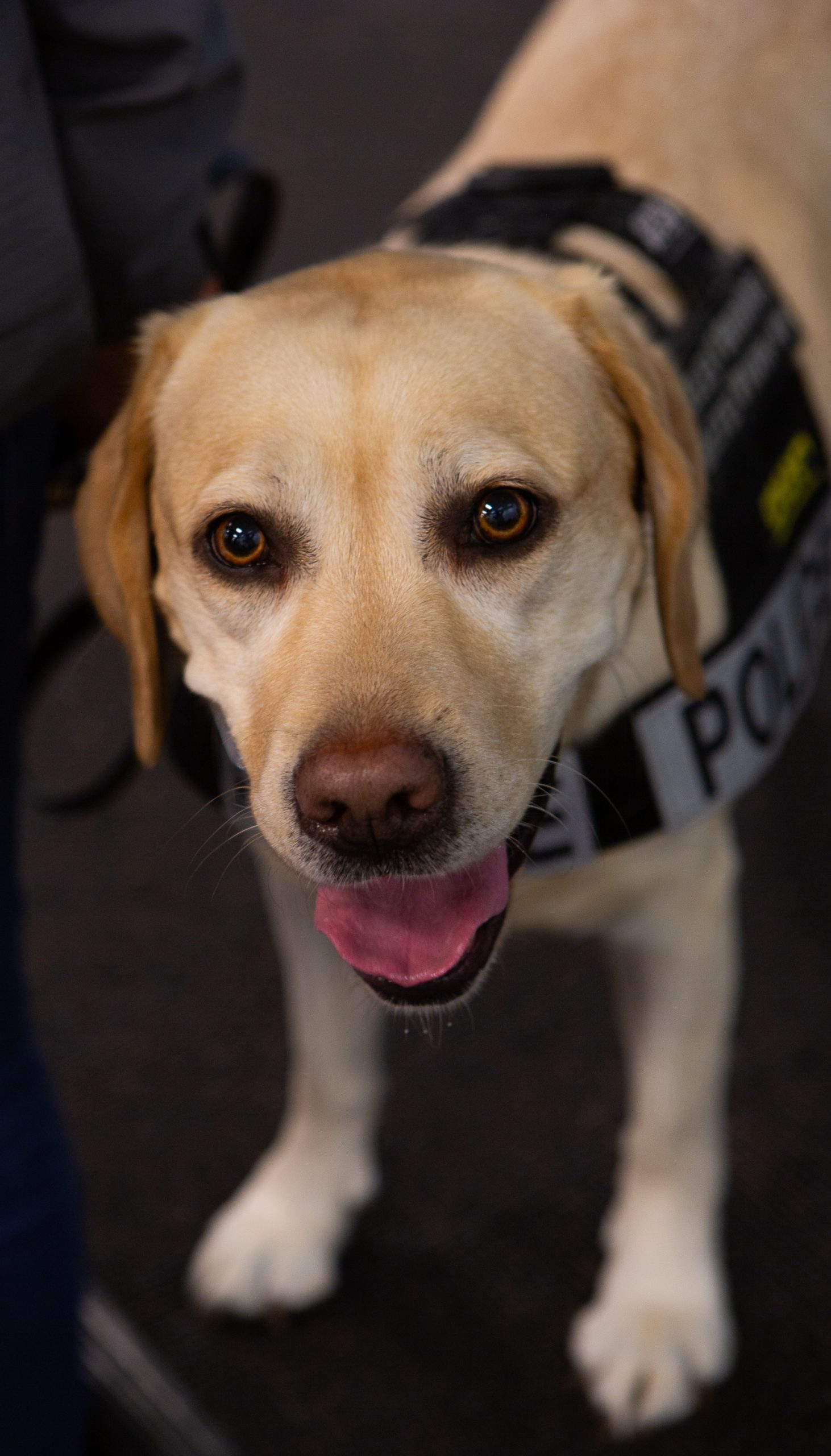 Washington Internet Crimes Against Children (ICAC) Task Force | Seattle ...